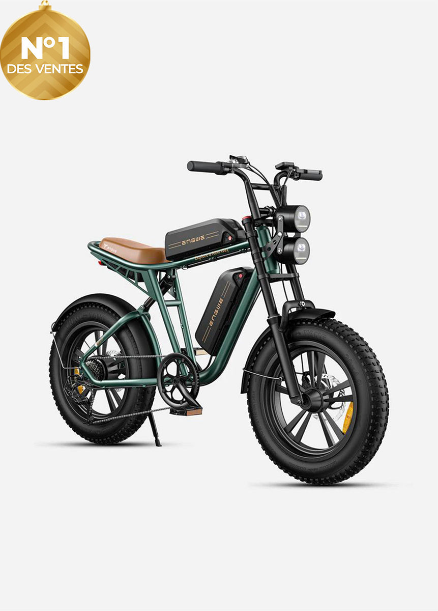 ENGWE M20 Velo Electrique Fat Bike Vélo Électrique Style Moto Vintage ...